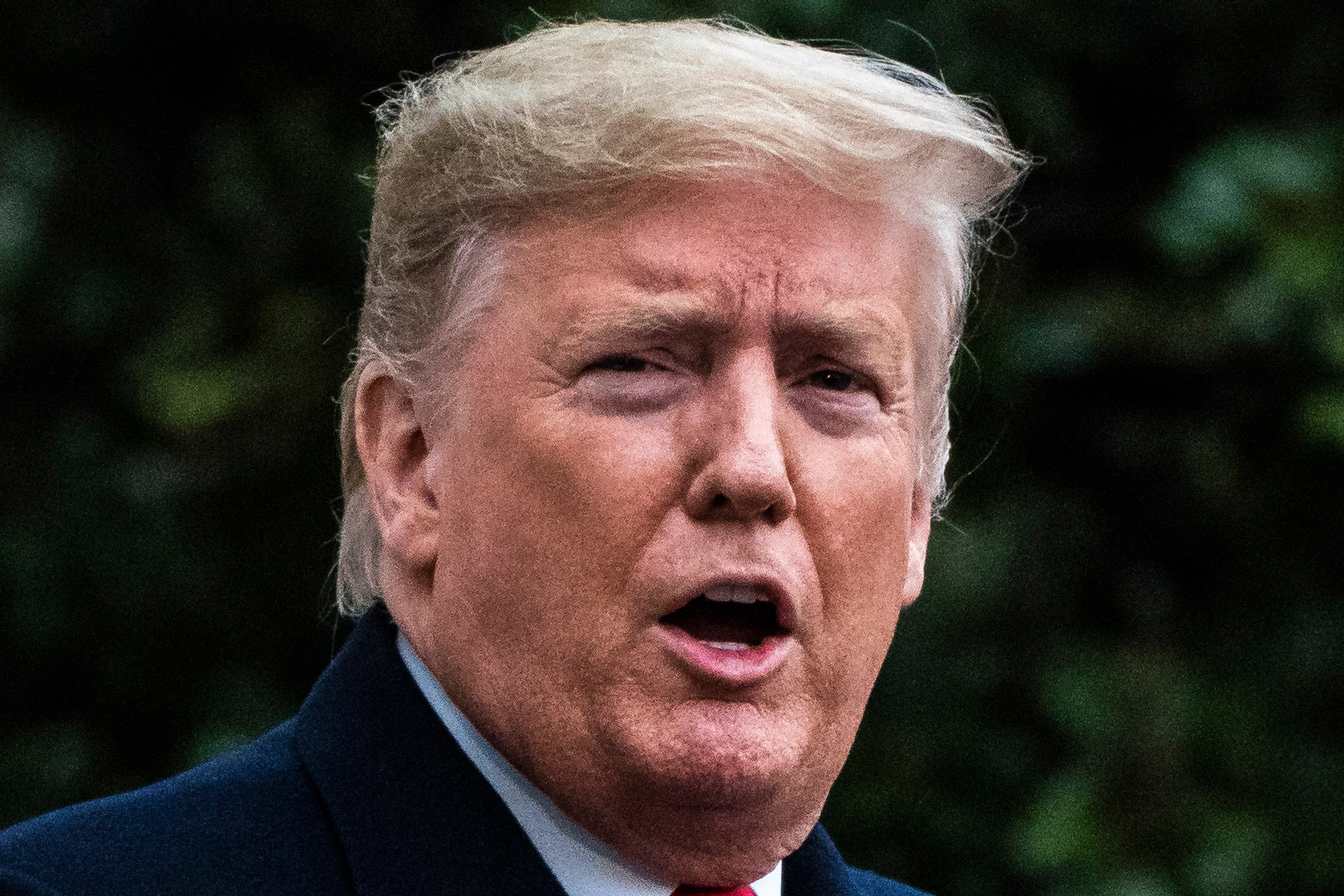 Larry Cohn's Instagram, Twitter & Facebook on IDCrawl